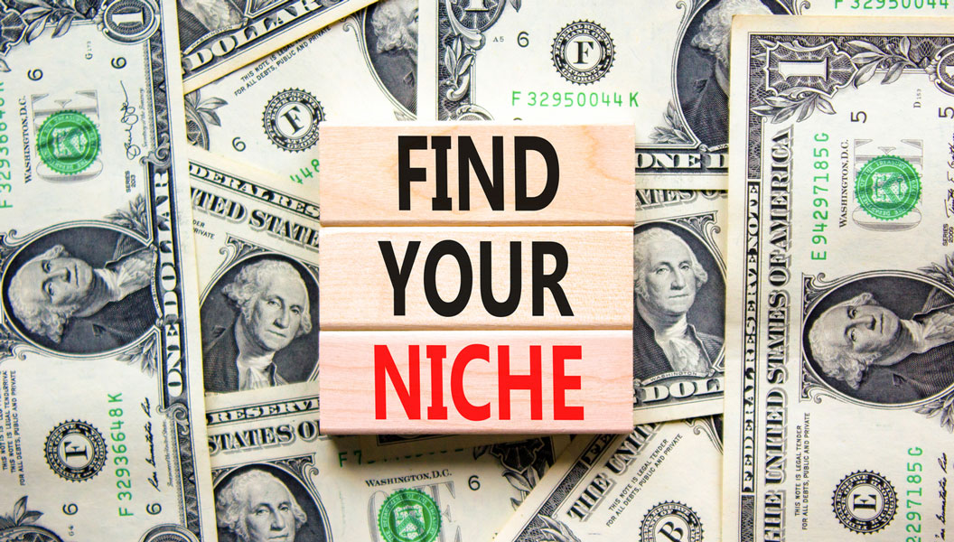 Smaller Niche Leads to Bigger Business | Transitions In Business